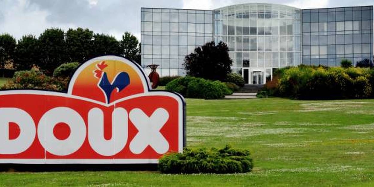 Le groupe Doux au bord du dépôt de bilan