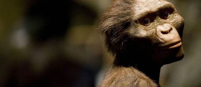 Karabo, le pré-humain "le plus complet" jamais découvert - Le Point