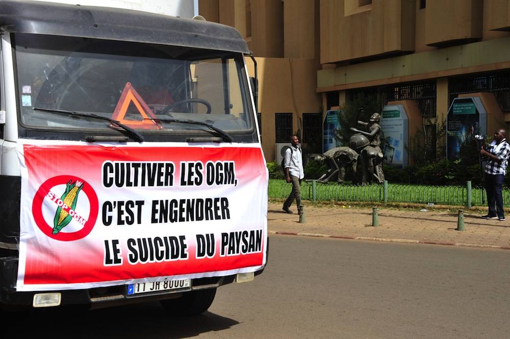 Burkina - Anti-OGM : les organisations citoyennes se mobilisent