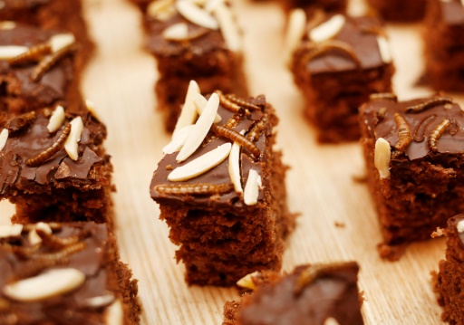 Les vers de farine c'est bon, surtout quand c'est fait maison