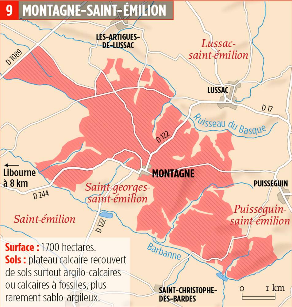 Montagne-saint-émilion, prendre de la hauteur