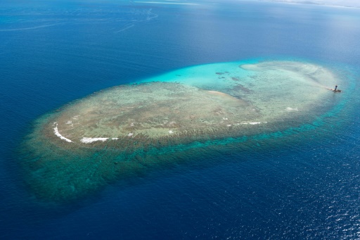 N-Calédonie: vers une gestion du parc naturel de la mer de corail