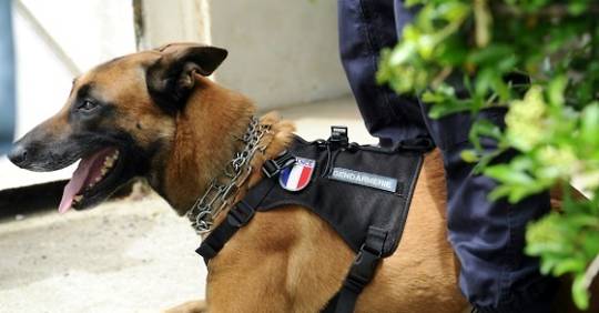 Aude: six jeunes filles perdues retrouvées par les gendarmes et le ... Aude: six jeunes filles perdues retrouvées par les gendarmes et le ...