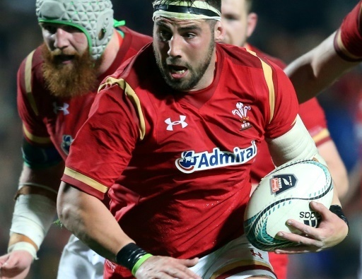 Rugby: Baldwin s'excuse après avoir été mordu par un lion - Le Point