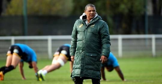 Rugby: à la tête des Springboks, l'infortuné M. Coetzee
