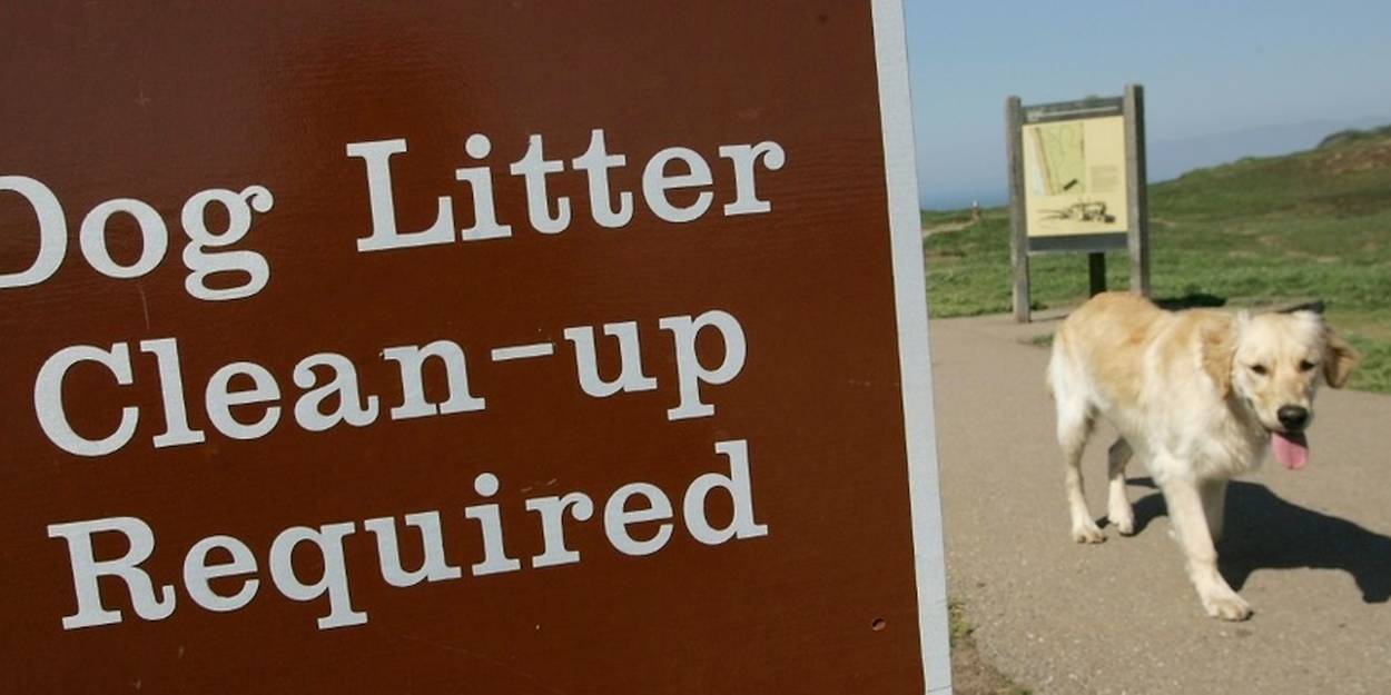 SnapCrap, l'appli anti-crottes à San Francisco