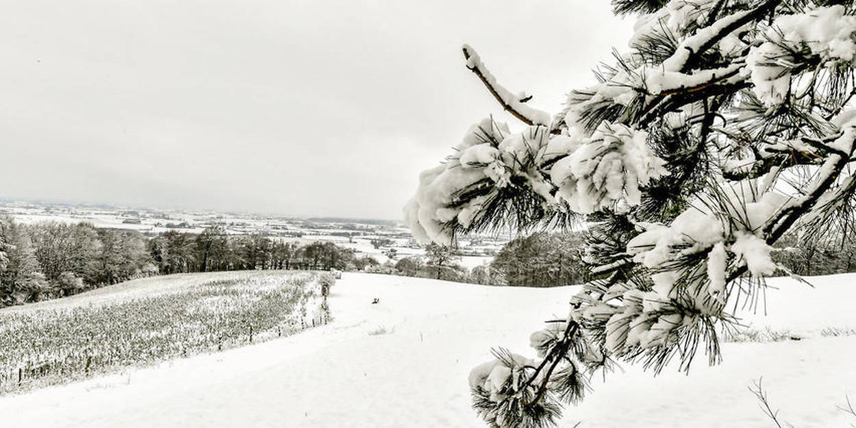 Gabriel, la tempête qui a fait rire les Québécois