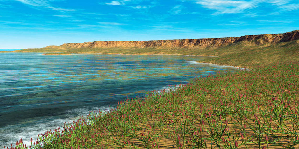 Crétacé, Permien, Dévonien... Les principales « extinctions de masse