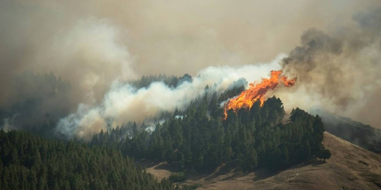 L'incendie qui ravage Grande Canarie hors de contrôle, nouvelles ...