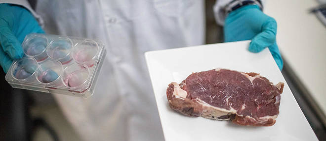 ISS : un premier steak cultivé en orbite