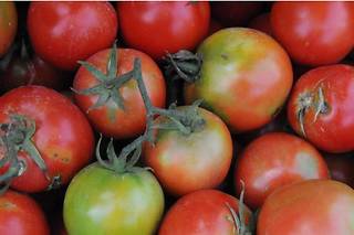 Le Point – Actualité Politique, Monde, France, Économie, High-Tech, Culture