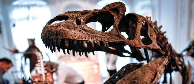 Le Point – Actualité Politique, Monde, France, Économie, High-Tech, Culture