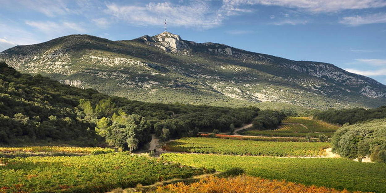 Agenda du vin – Tous en Terrasses… du Larzac