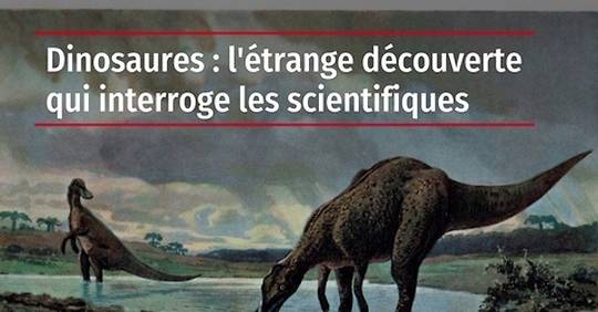 Vidéo - Dinosaures : l'étrange découverte qui interroge les scientifiques