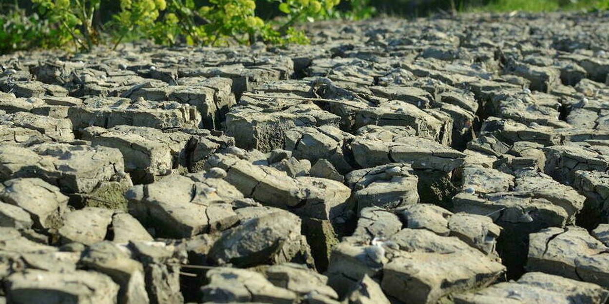 Climat : le printemps particulièrement sec inquiète les prévisionnistes