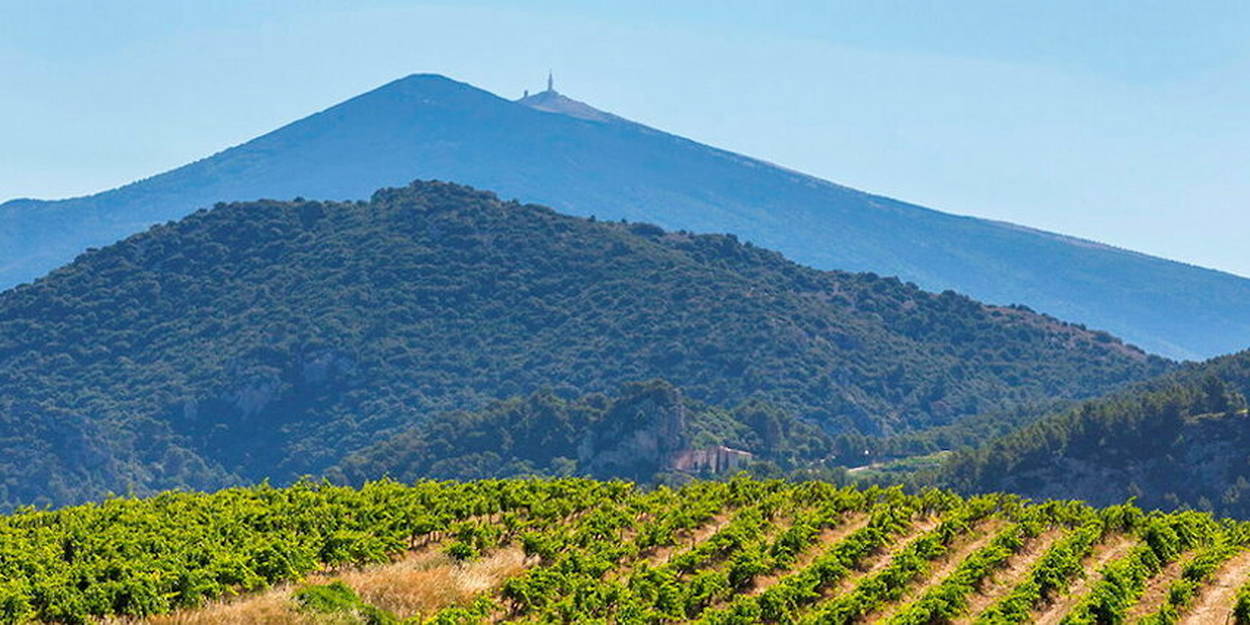 Vins d’été – Les rosés de la Vallée du Rhône