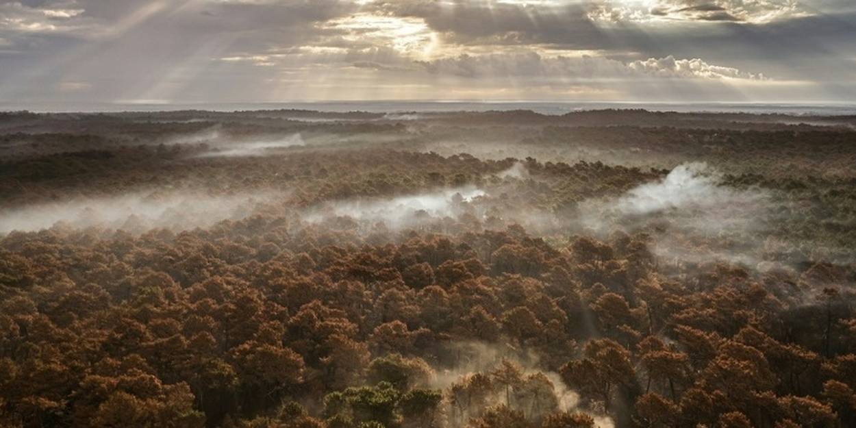 Incendies en Gironde: le feu "maîtrisé" à La Teste-de-Buch