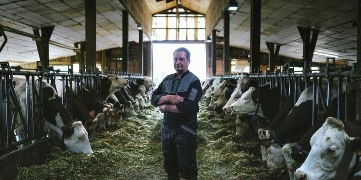 Exploitation laitière cherche repreneurs désespérément