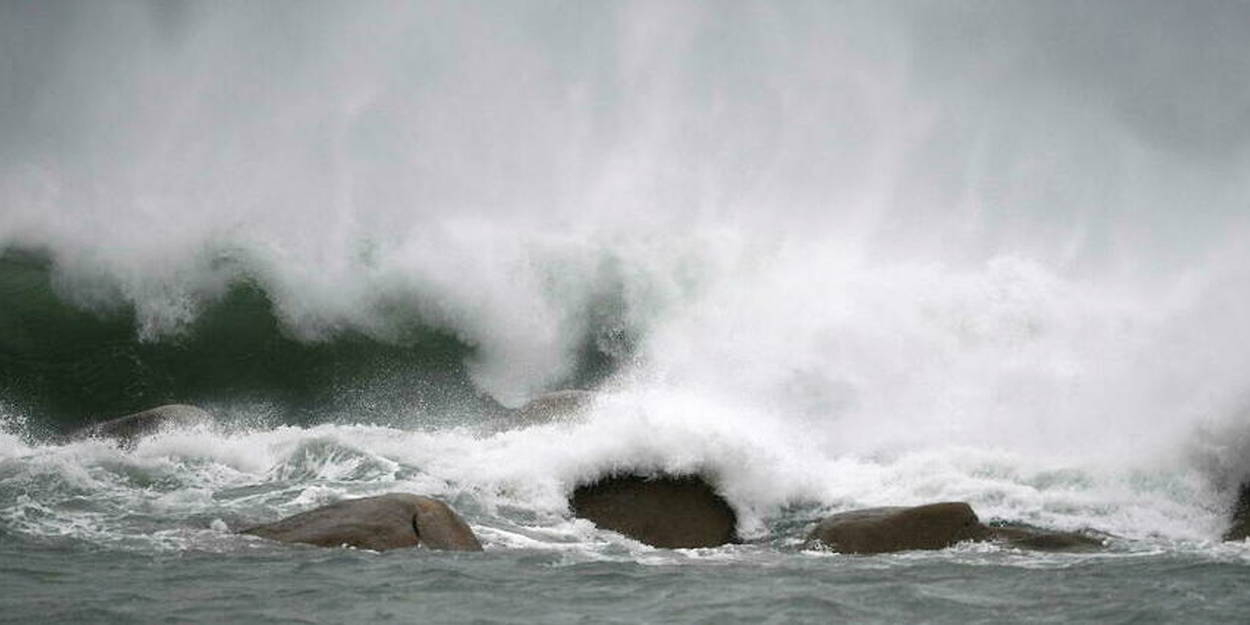 Météo : coup de vent et froid lundi, 24 départements en vigilance orange