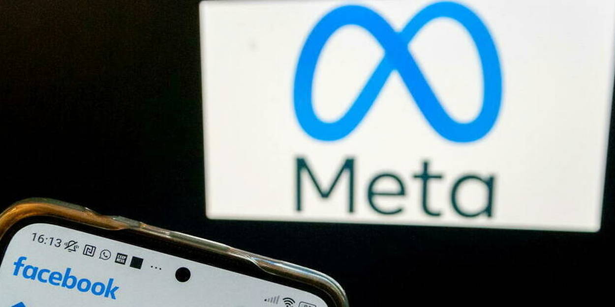 Pour la première fois de son histoire, Meta voit ses revenus annuels ...