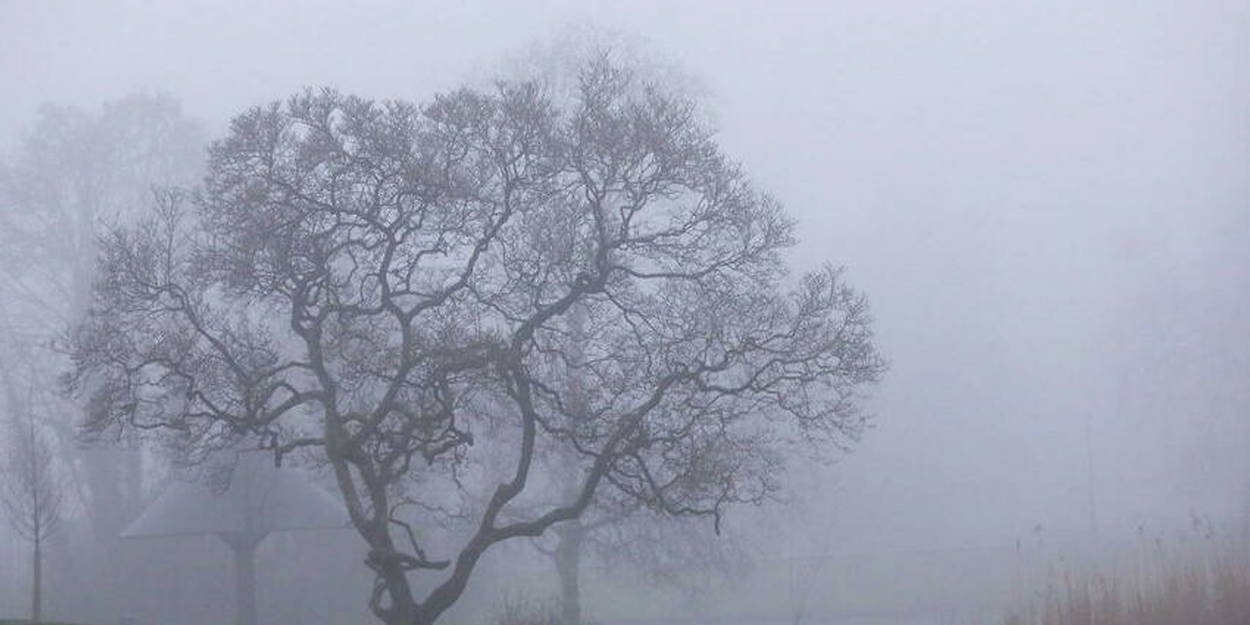 Météo : brouillard, grisaille et vent soutenu