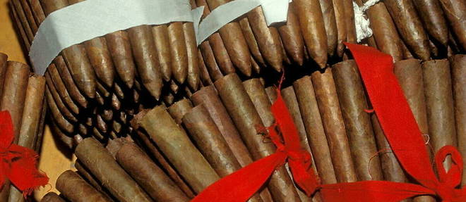 À Cuba, les exportations de cigares ont le vent en poupe