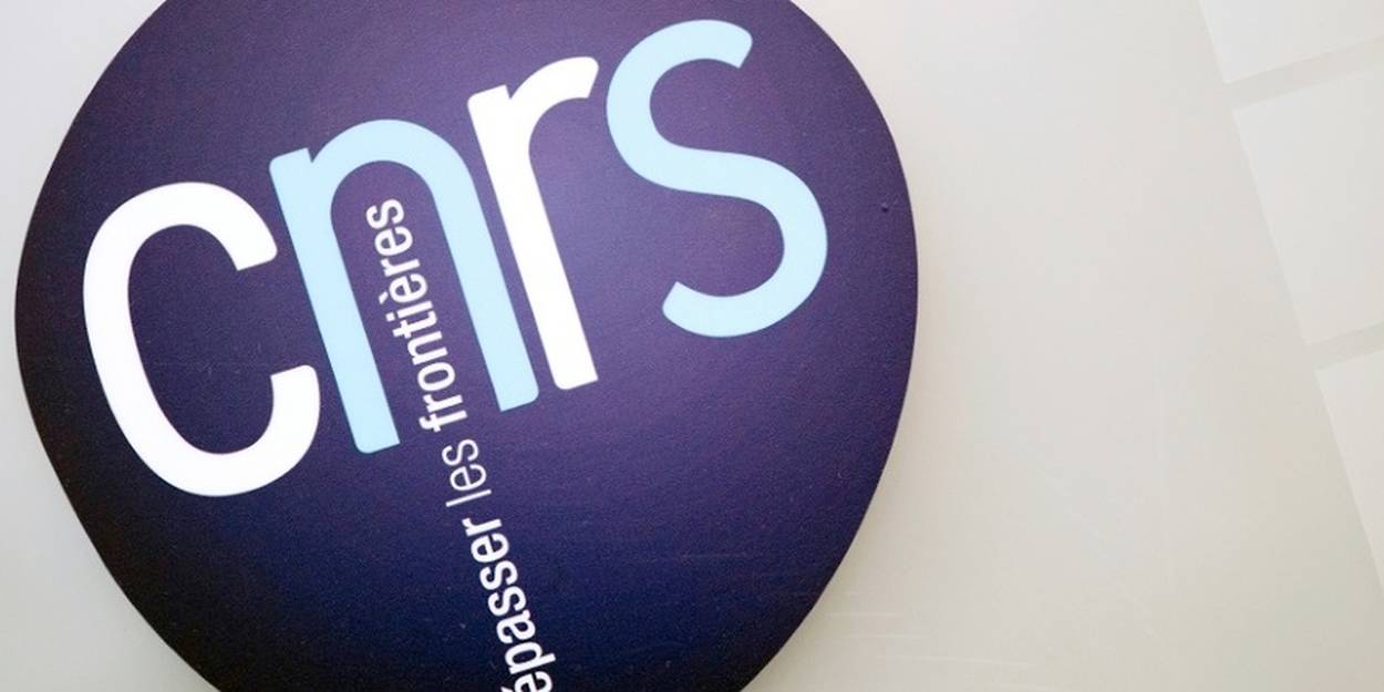 Un directeur de recherche du CNRS provisoirement exclu pour harcèlement sexuel