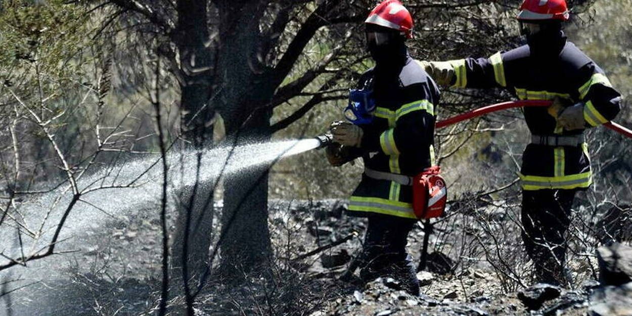 Pyrénées-Orientales : l’incendie a parcouru environ 1 000 hectares