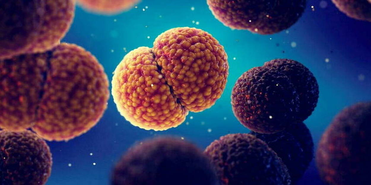 Symptômes, vaccin : ce qu’il faut savoir sur la méningite