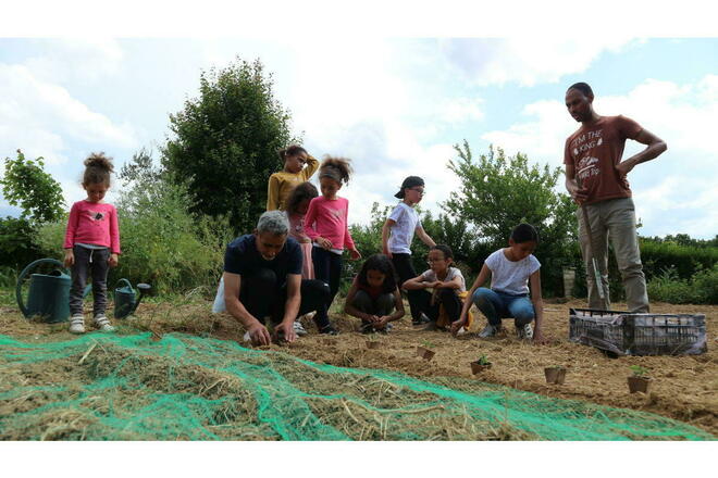 Agriculture urbaine : ces cinq projets qui font envie