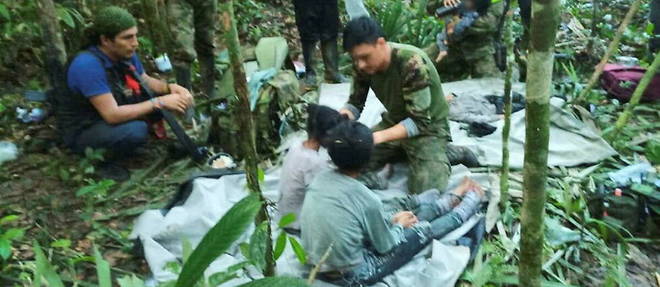 Colombie : graines, lien avec la nature… Comment quatre enfants ont survécu 40 jours dans la ...