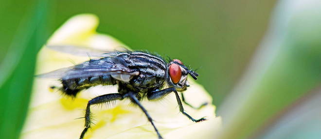Actualités - Page 4