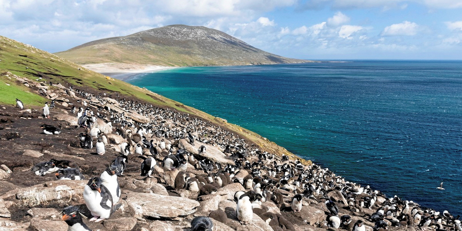 Javier Milei, le Royaume-Uni et les îles Malouines : beaucoup de bruit pour rien