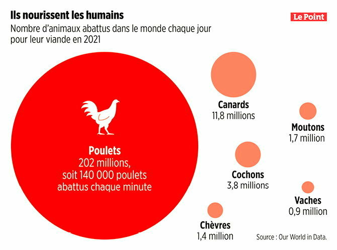 Les indiscrets - Des stars en soutien d’une liste anti-Nupes aux européennes