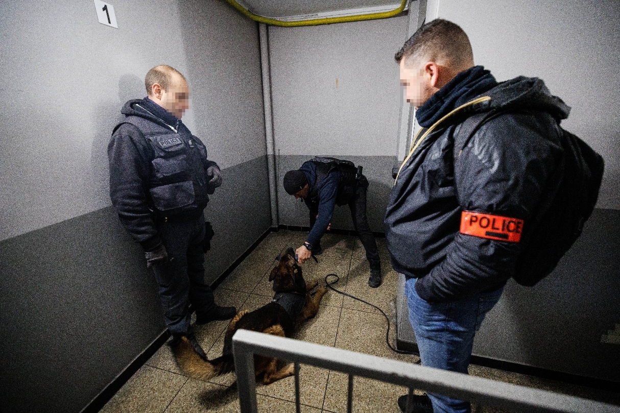 Trafic de drogue: 24 nouvelles interpellations à Marseille Trafic de drogue: 24 nouvelles interpellations à Marseille