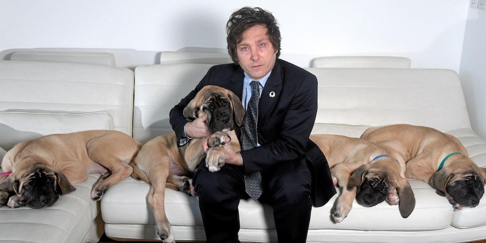 Javier Milei, l’homme qui veut massacrer la science à la tronçonneuse