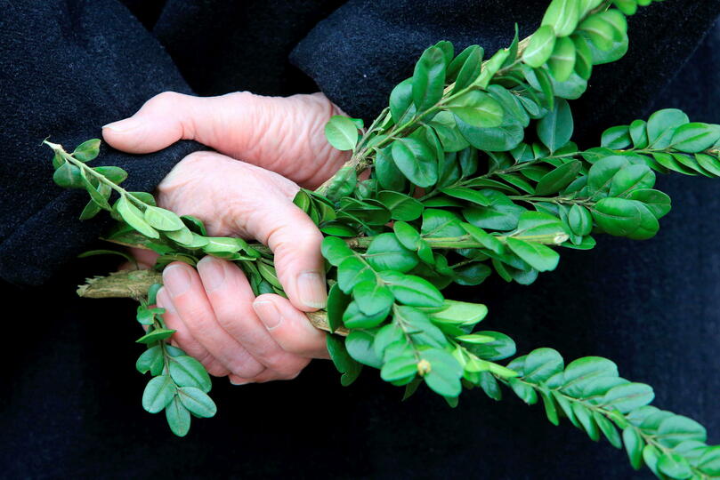 Qu’est-ce que le dimanche des Rameaux, célébré par les chrétiens une ...
