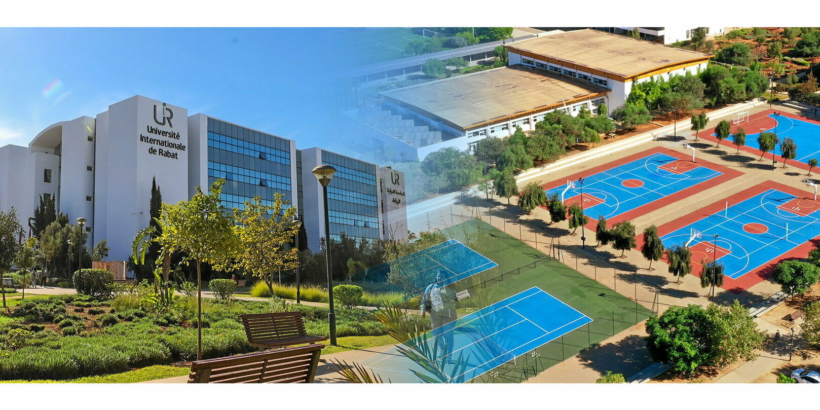 Excellence académique et rayonnement international sont au coeur du ...