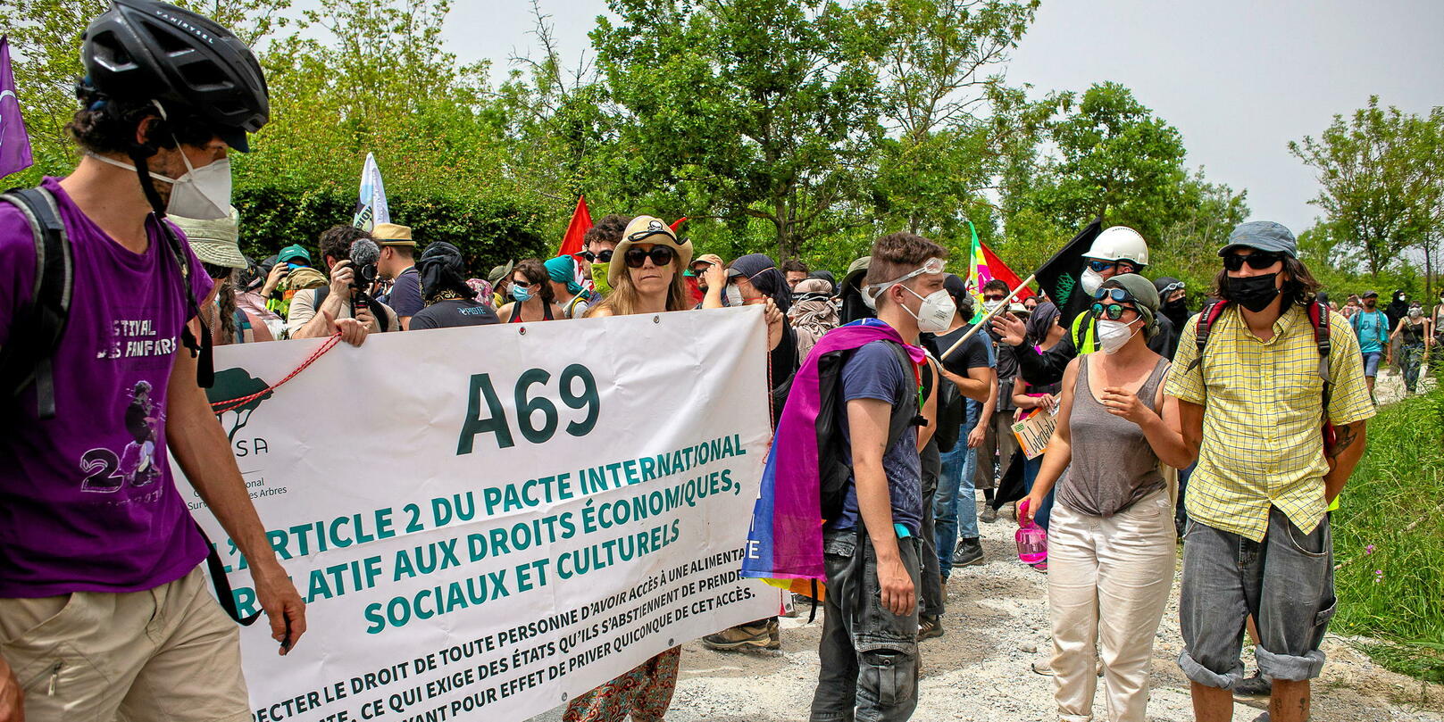 Autoroute A69 : une soixantaine d’arbres abattus malgré la présence d ...
