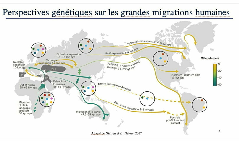 Lluis Quintana Murci : « En quoi la génétique contribue-t-elle à l’étude des migrations