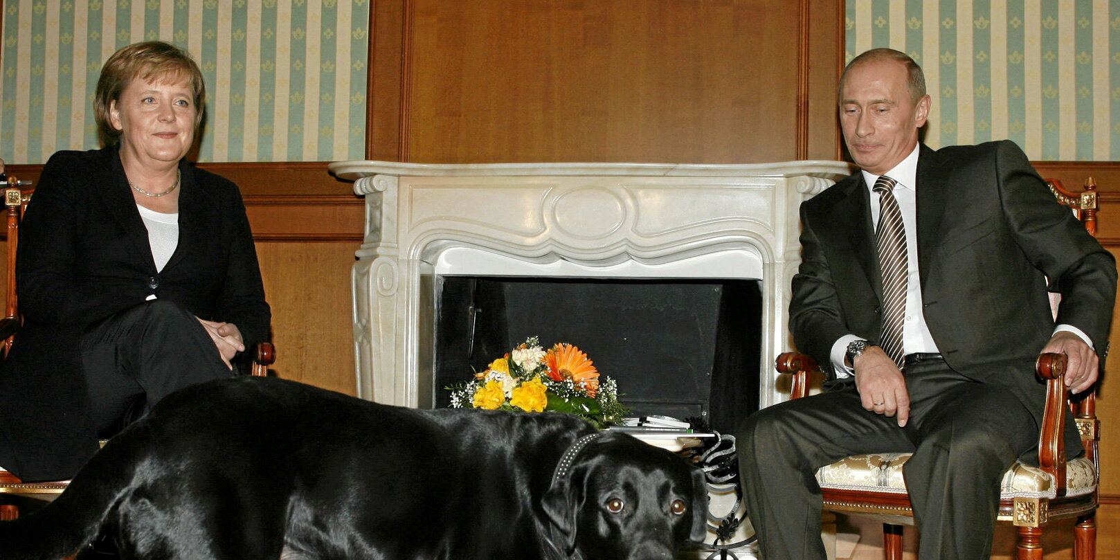 Les excuses de Vladimir Poutine à Angela Merkel après « l’épisode du ...