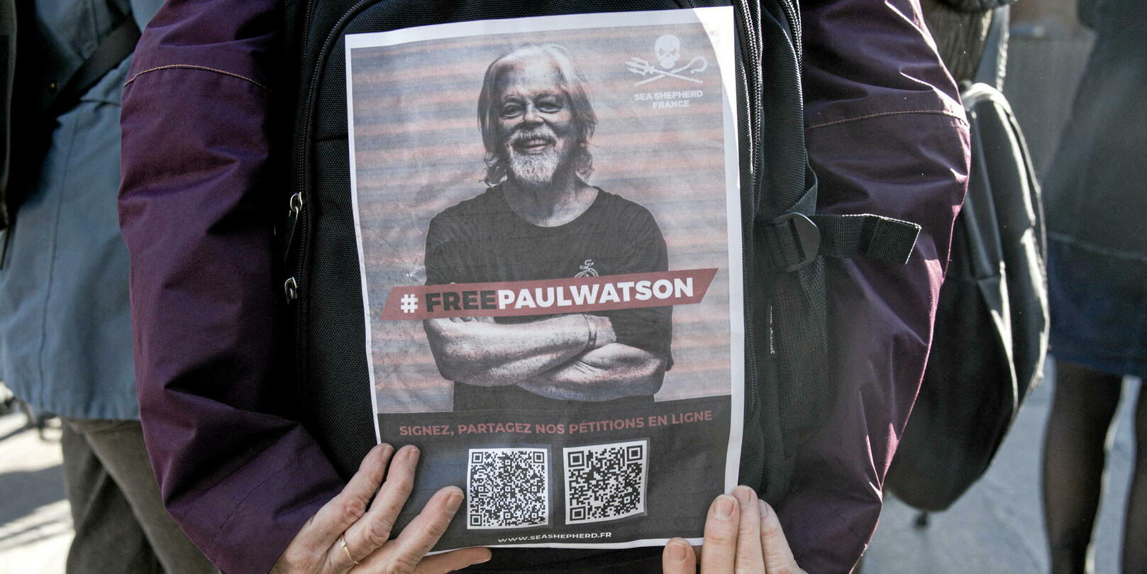 Comment les îles Féroé se sont vengées de Paul Watson Comment les îles Féroé se sont vengées de Paul Watson