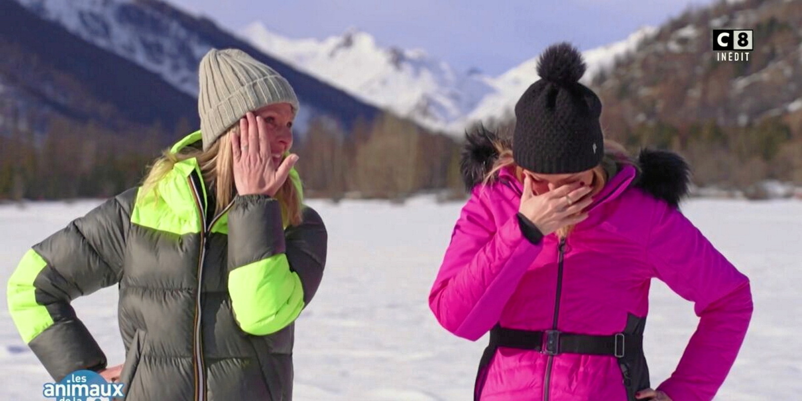 Quel avenir pour « Les Animaux de la 8 » et « Animaux à adopter » de C8 ? Leurs animatrices ...